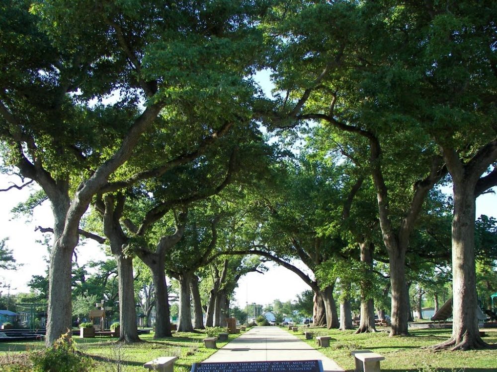 Parks and Beautification | City of Pass Christian
